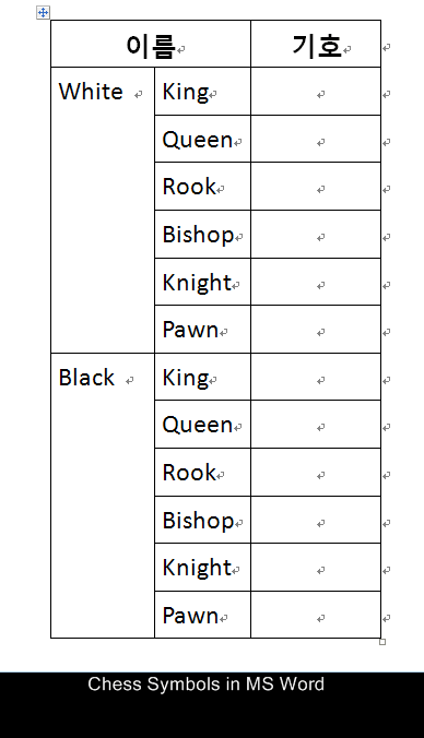 CaN (Computer & Network) Tips :: [MS Word] 체스 말 기호 입력하기