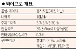 CaN (Computer & Network) Tips :: [도표] 와이브로 개요