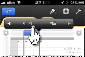 CaN (Computer & Network) Tips :: [iOS용 Numbers] 행이나 열 숨기기