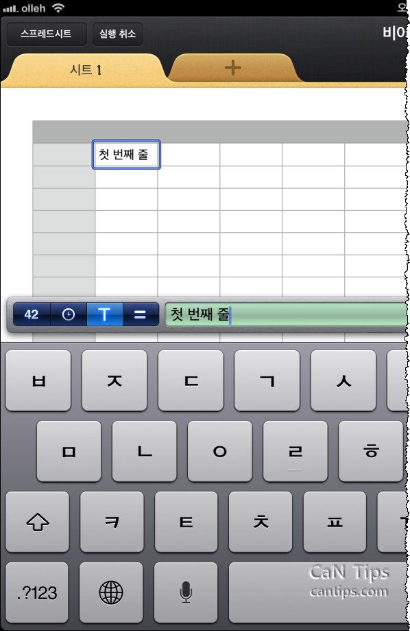 CaN (Computer & Network) Tips :: [iOS용 Numbers] 한 셀에 텍스트를 두 줄 이상 입력하기