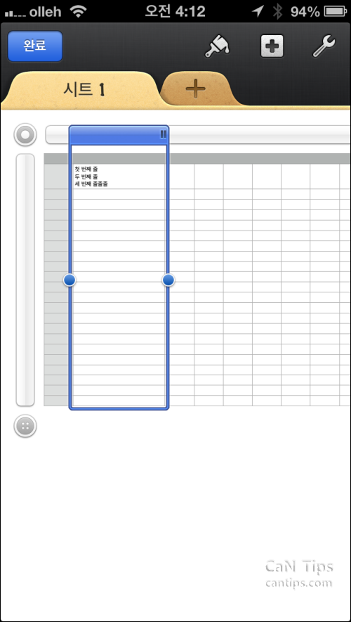 CaN (Computer & Network) Tips :: [iOS용 Numbers] 한 셀에 텍스트를 두 줄 이상 입력하기