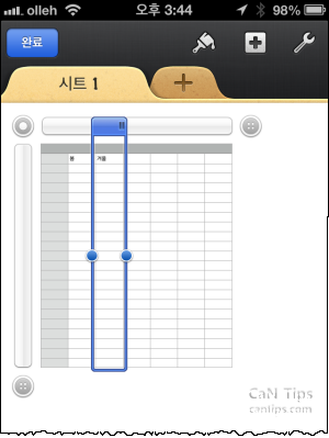 CaN (Computer & Network) Tips :: [iOS용 Numbers] 행이나 열 숨기기