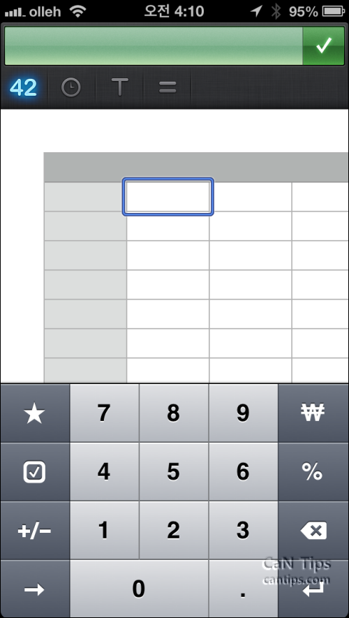 CaN (Computer & Network) Tips :: [iOS용 Numbers] 한 셀에 텍스트를 두 줄 이상 입력하기