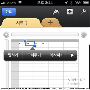 CaN (Computer & Network) Tips :: [iOS용 Numbers] 행이나 열 숨기기